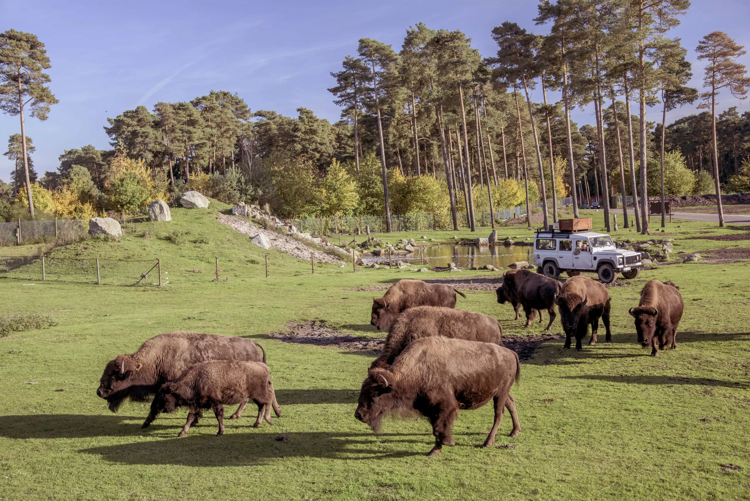 Serengeti-Park - Der Tier und Freizeitpark in Niedersachsen - Serengeti Park